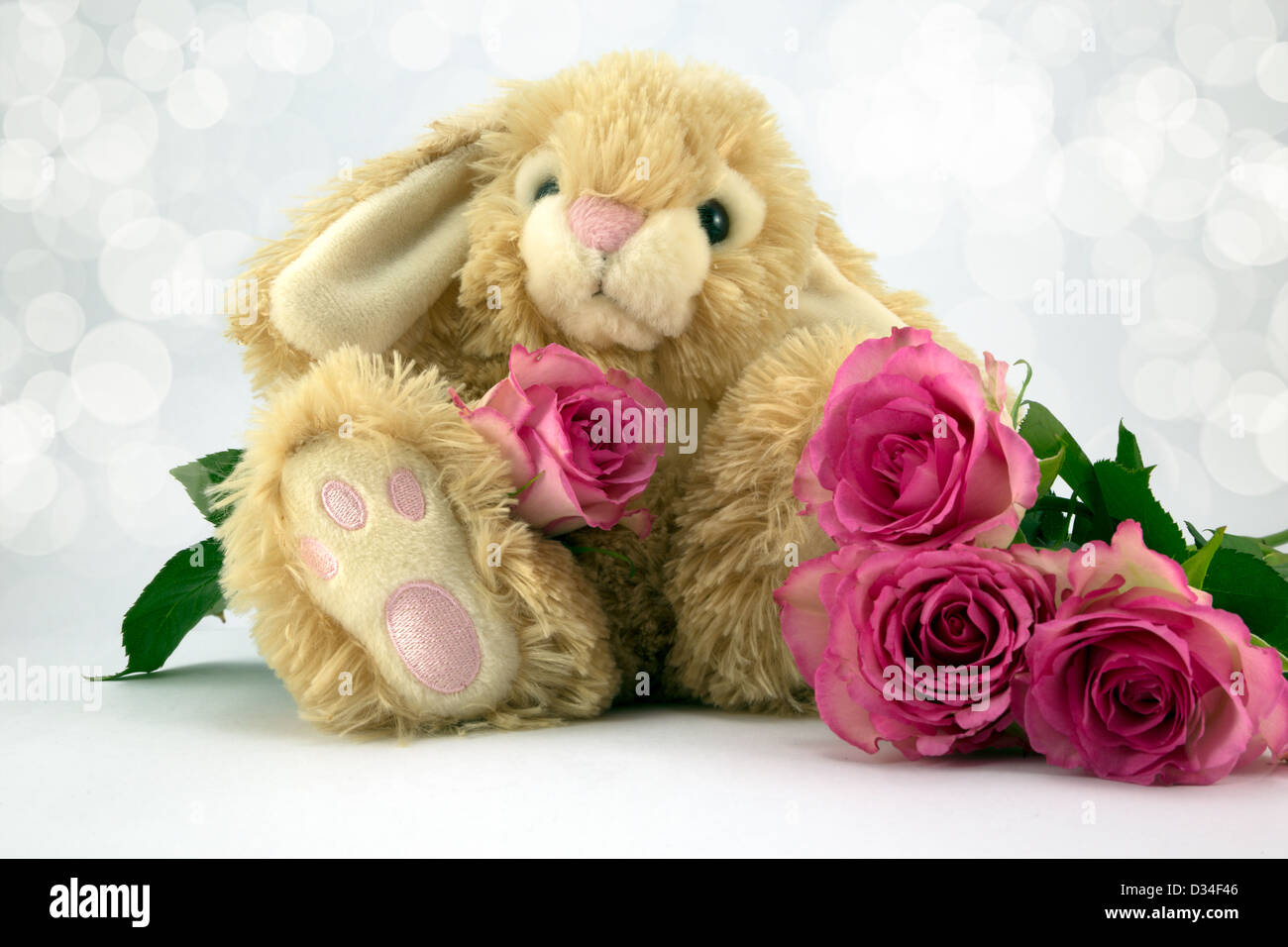 Fluffy bunny with pink roses and a diffused background Stock Photo - Alamy