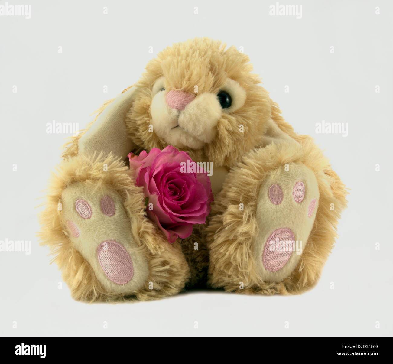 Fluffy bunny with pink rose Stock Photo - Alamy