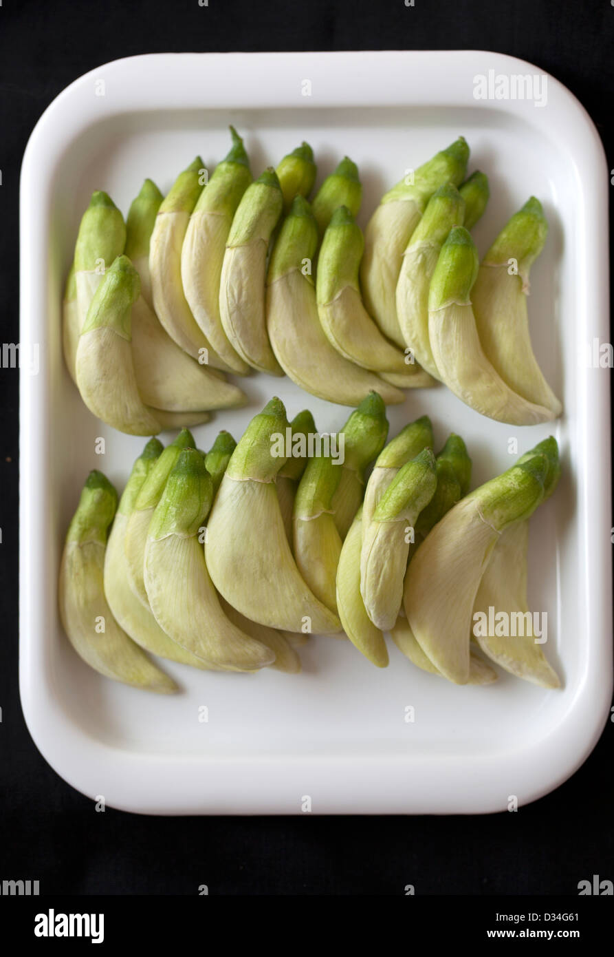 Edible buds hi-res stock photography and images - Alamy