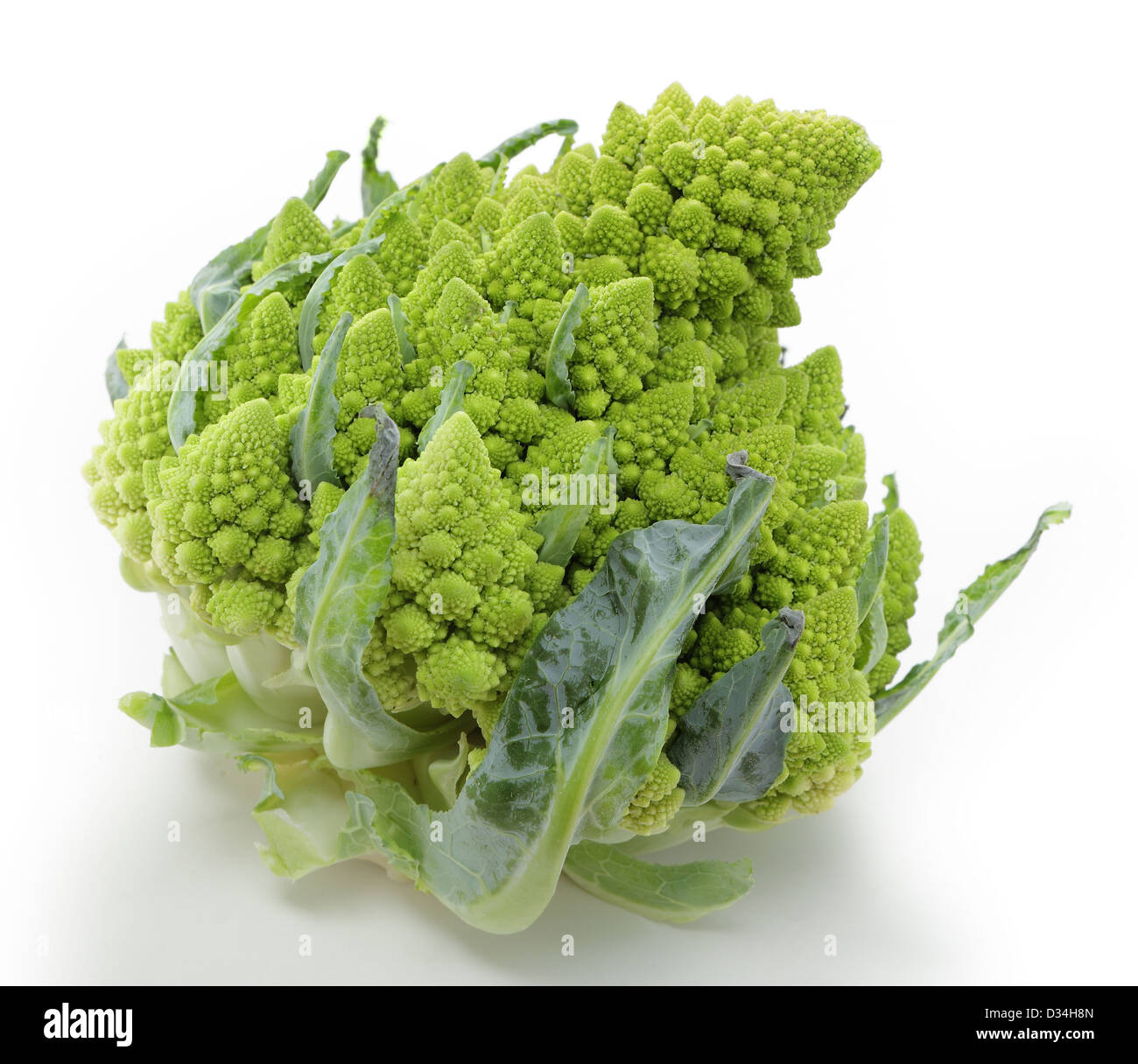 Romanesco cauliflower over a white background, with a light shadow ...