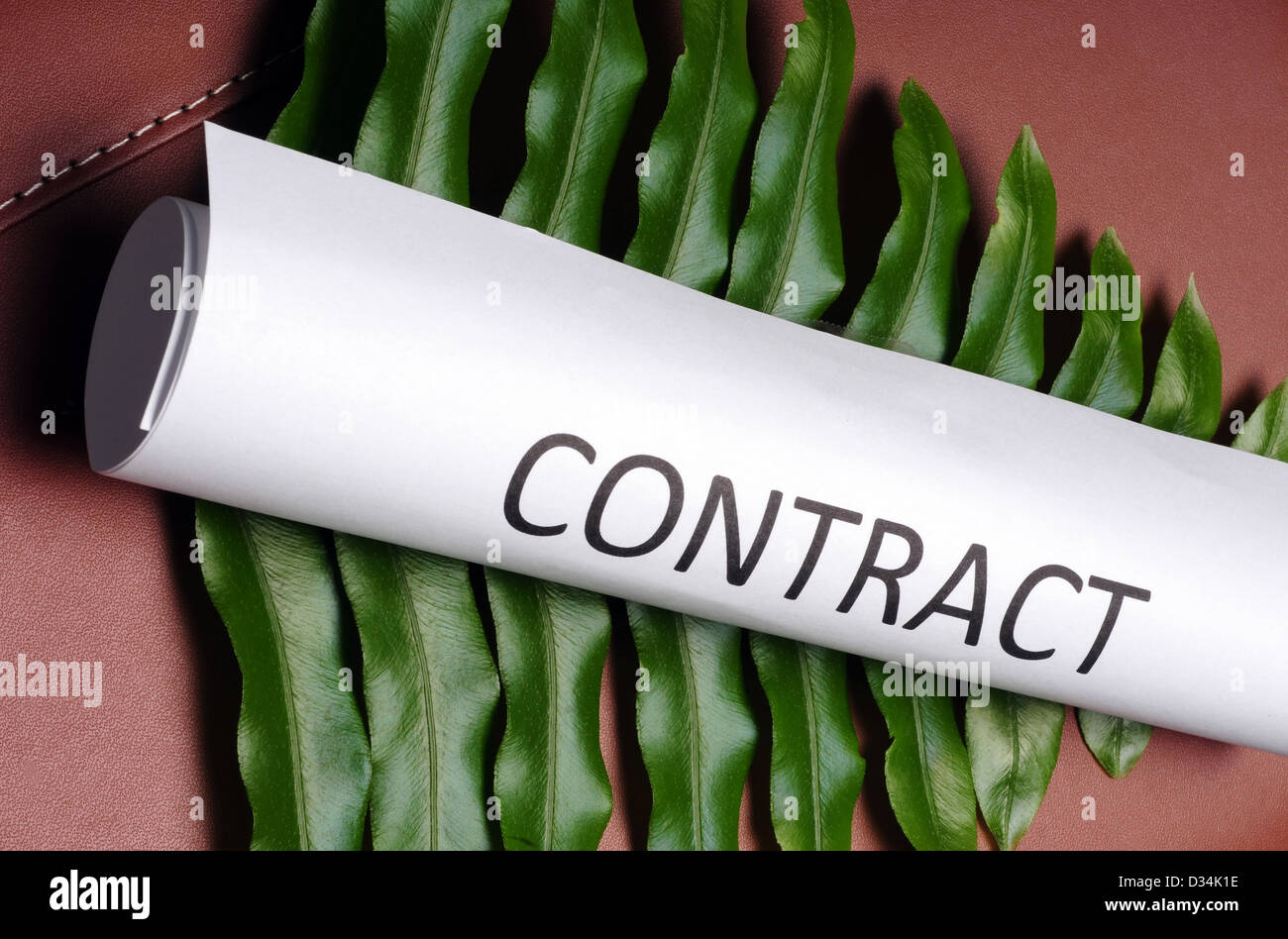 A green and eco-friendly contract for sustainable business Stock Photo ...