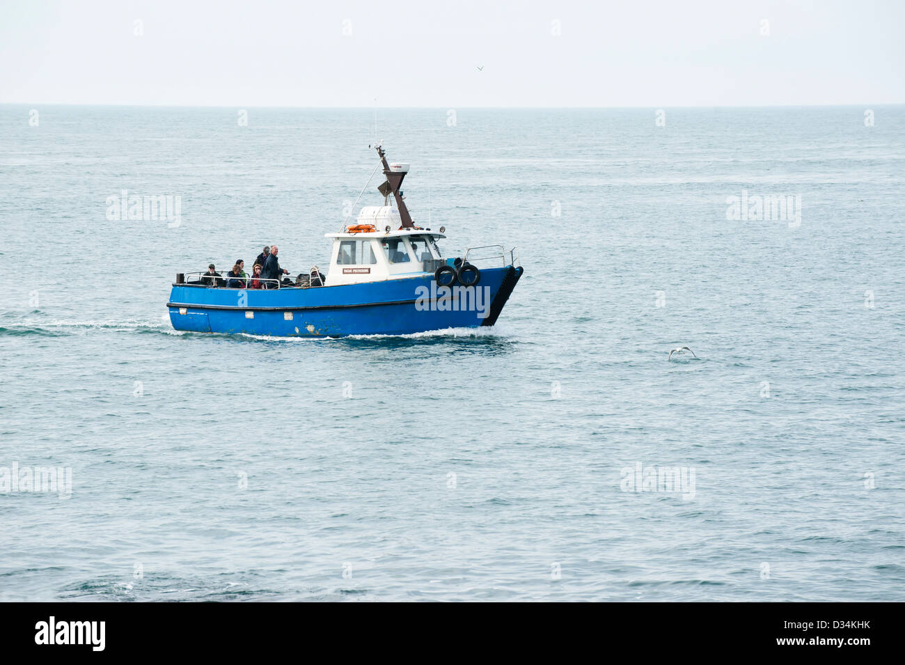 Dale Princess passenger ferry to Skokhom Island, Pembrokeshire, South ...