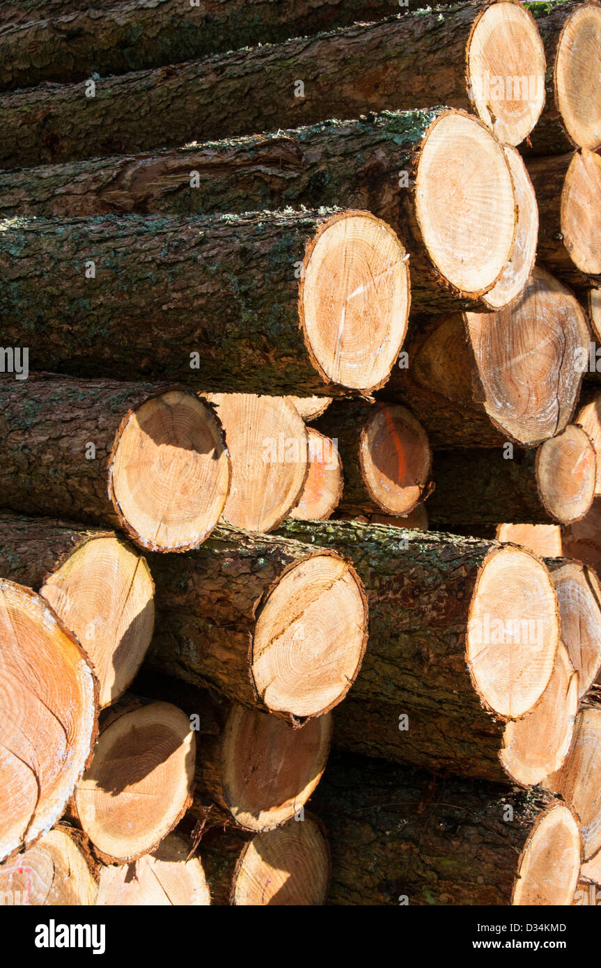 Sawn logs hi-res stock photography and images - Alamy