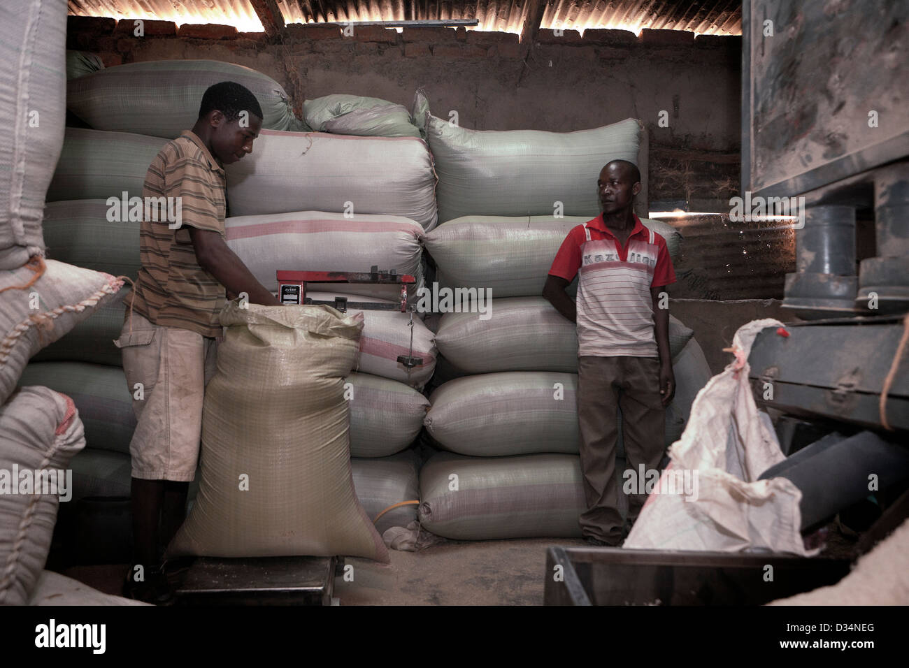 rice-collection centre in rural Tanzania. Rice is sorted mechanically ...