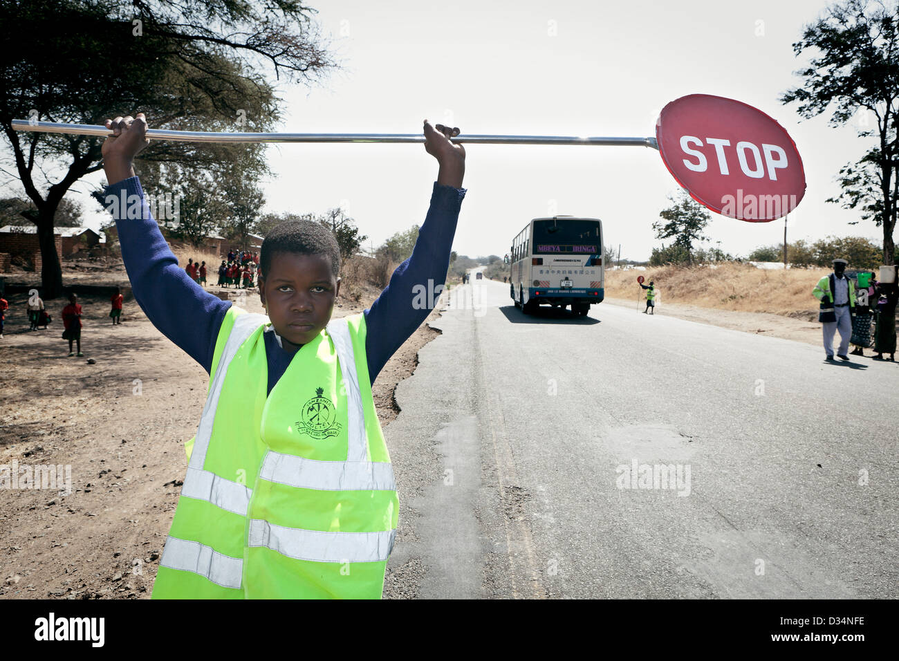 A young girl holding a STOP sign working as a crossing guard in the ...
