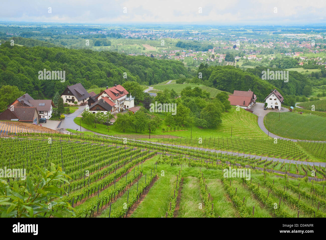 Wine Plantations in Southern Germany region of Baden-Wuertemberg ...