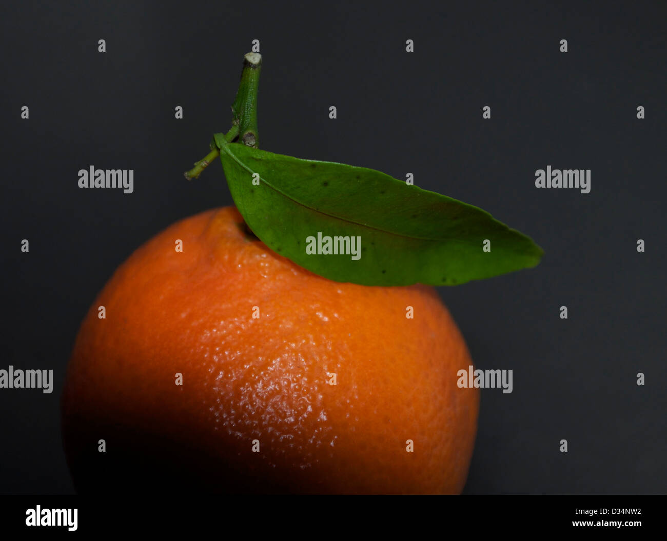 Green satsuma hi-res stock photography and images - Alamy