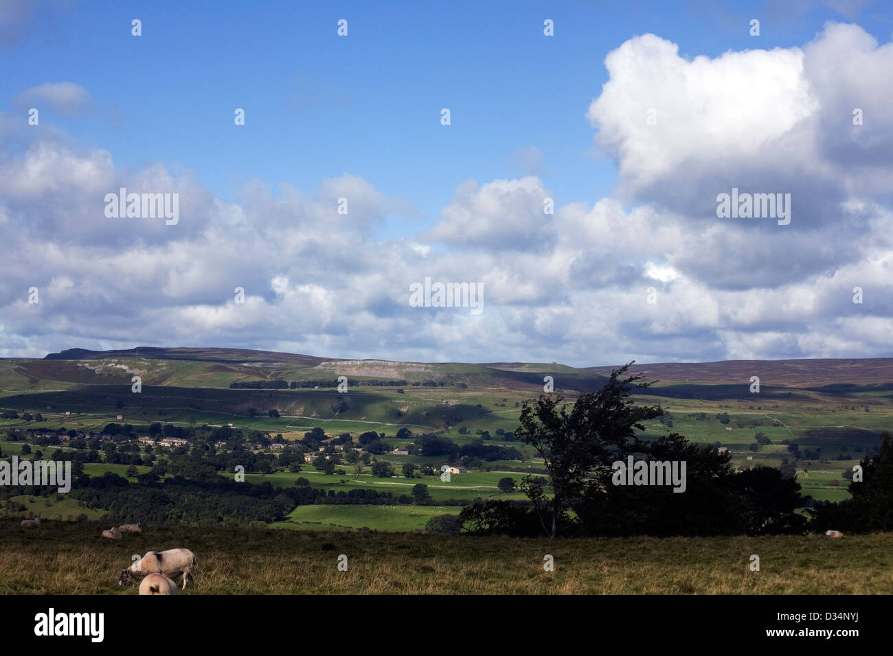 Carperby Moor above the village of Carperby Wensleydale Yorkshire Dales ...