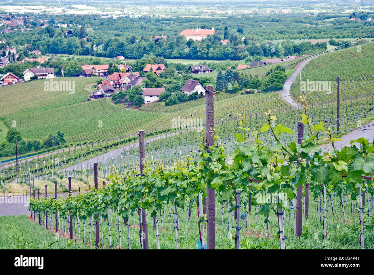 Wine Plantations in Southern Germany region of Baden-Wuertemberg ...