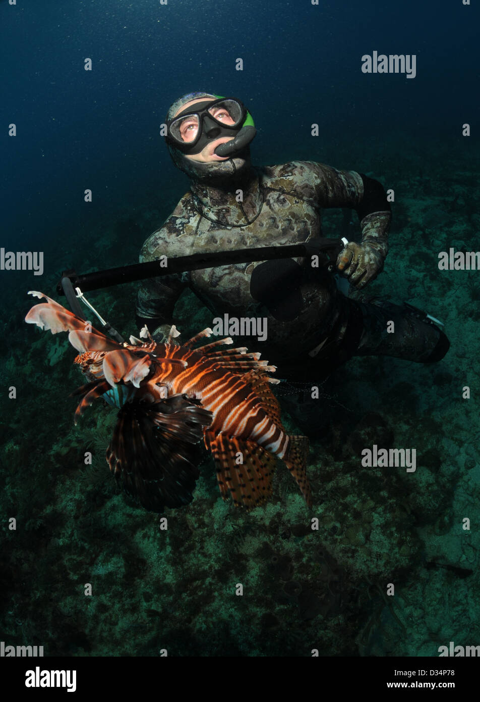 Spearing lionfish hi-res stock photography and images - Alamy