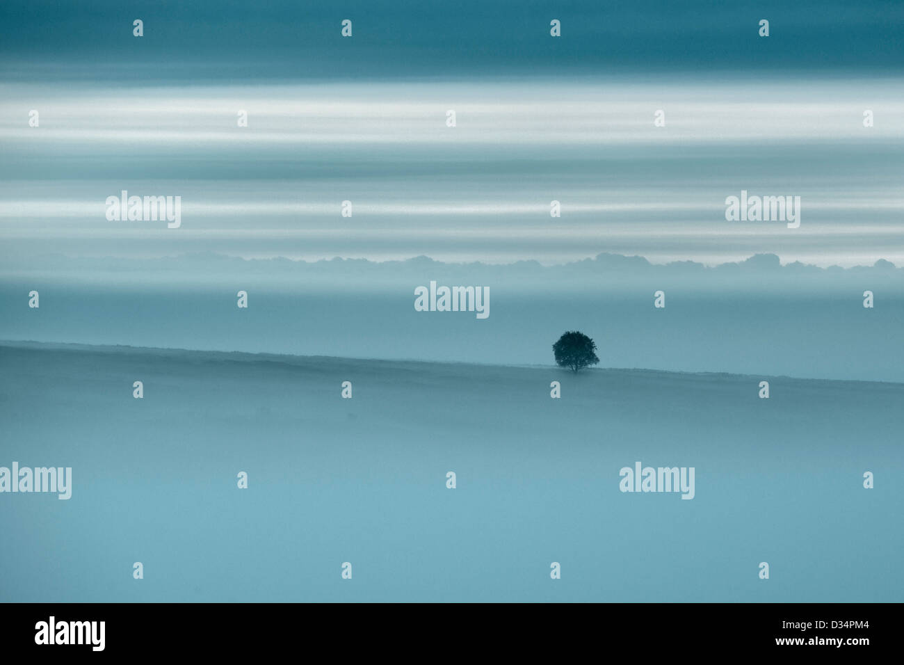 Lone Tree in layers of mist Peak District Derbyshire Stock Photo - Alamy