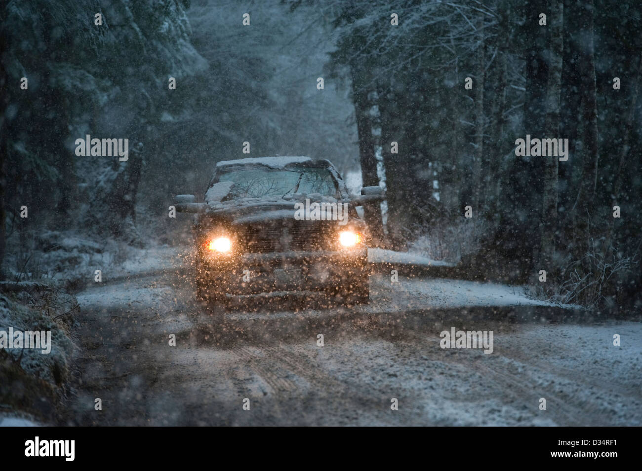 Sport utility vehicle driving in a snow storm near Sitka, Alaska, USA ...