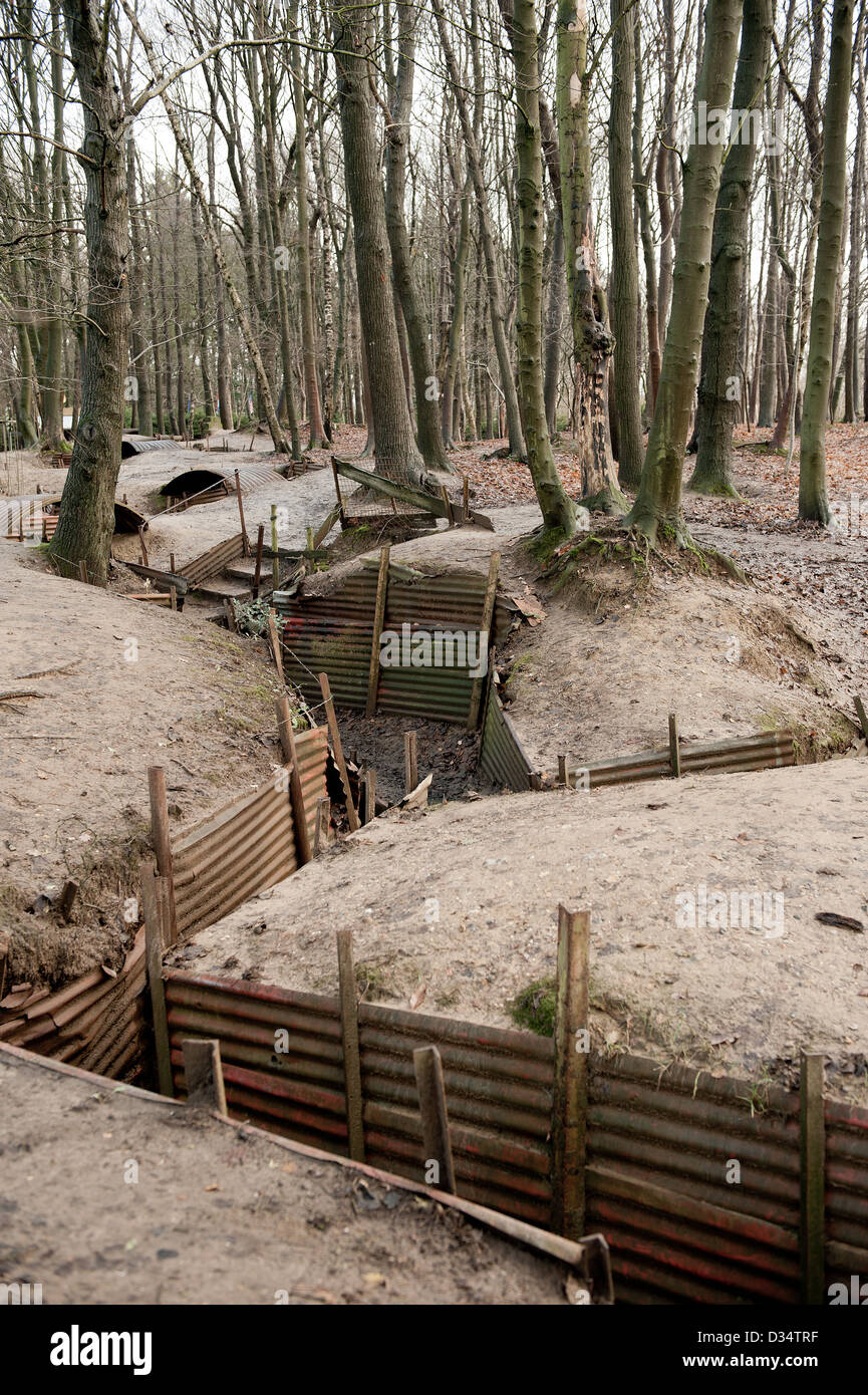 The World War One trench system at Sanctuary Wood near Ypres in Belgium ...