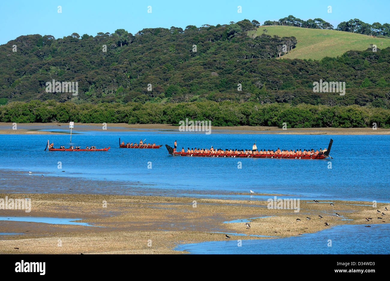 Maori males hi-res stock photography and images - Alamy