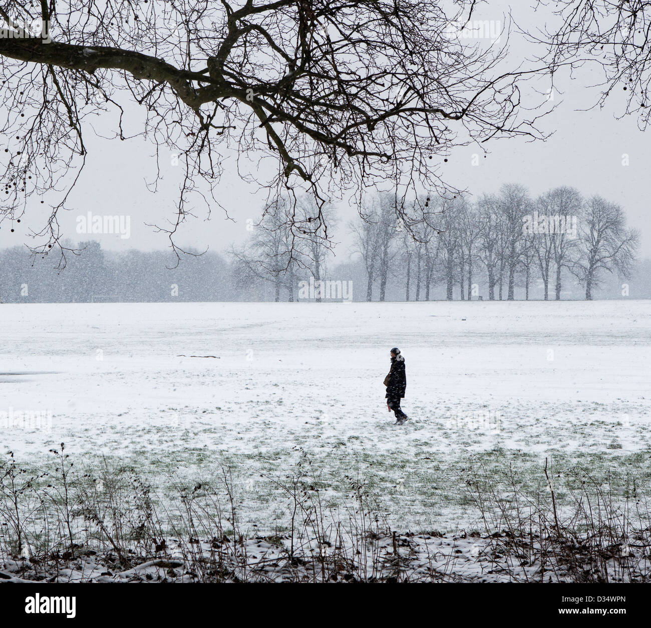 Person walks in the snow in snowy Old Deer Park in Winter, Richmond ...