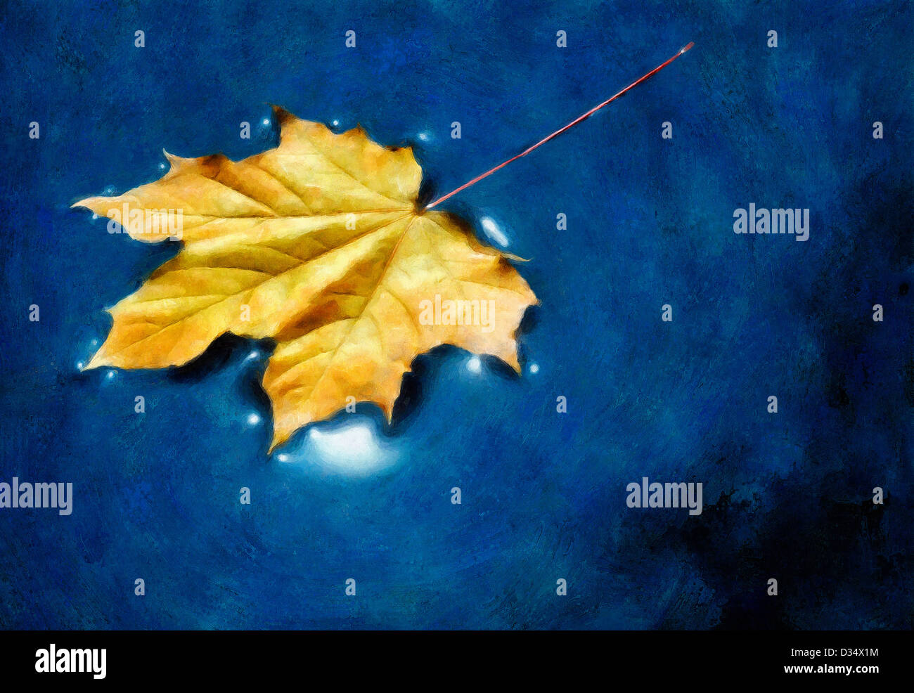 Close-up photo illustration of a beautiful fall leaf floating in water ...