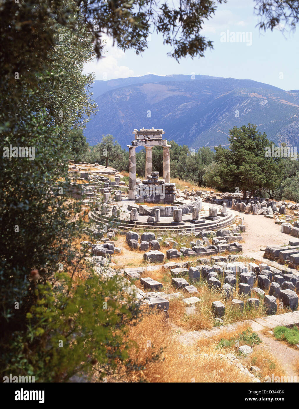 Pronoia hi-res stock photography and images - Alamy