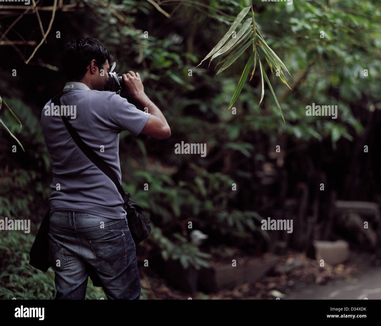 Taking photo eden project hi-res stock photography and images - Alamy