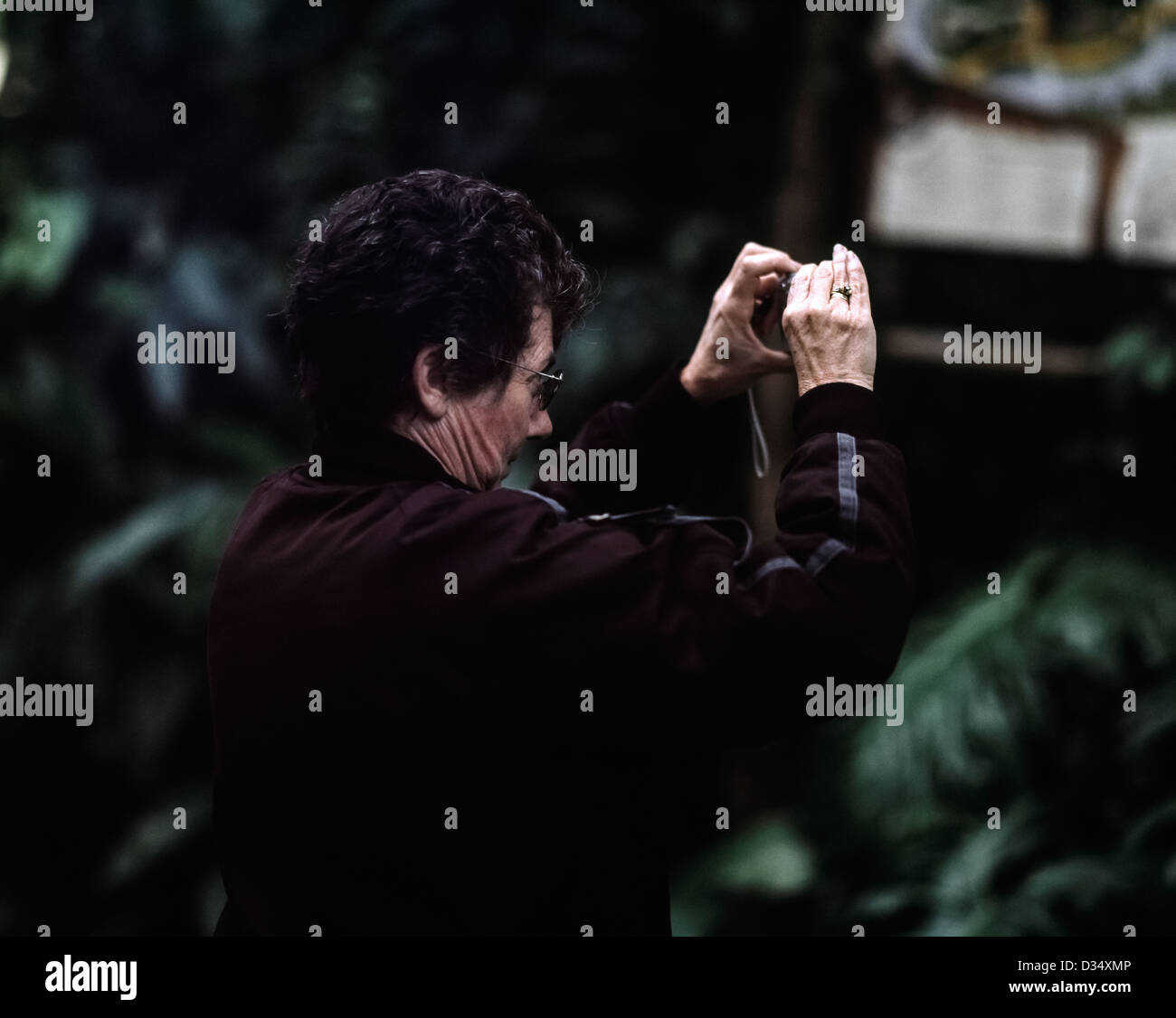 Woman taking photograph at the eden project Stock Photo - Alamy