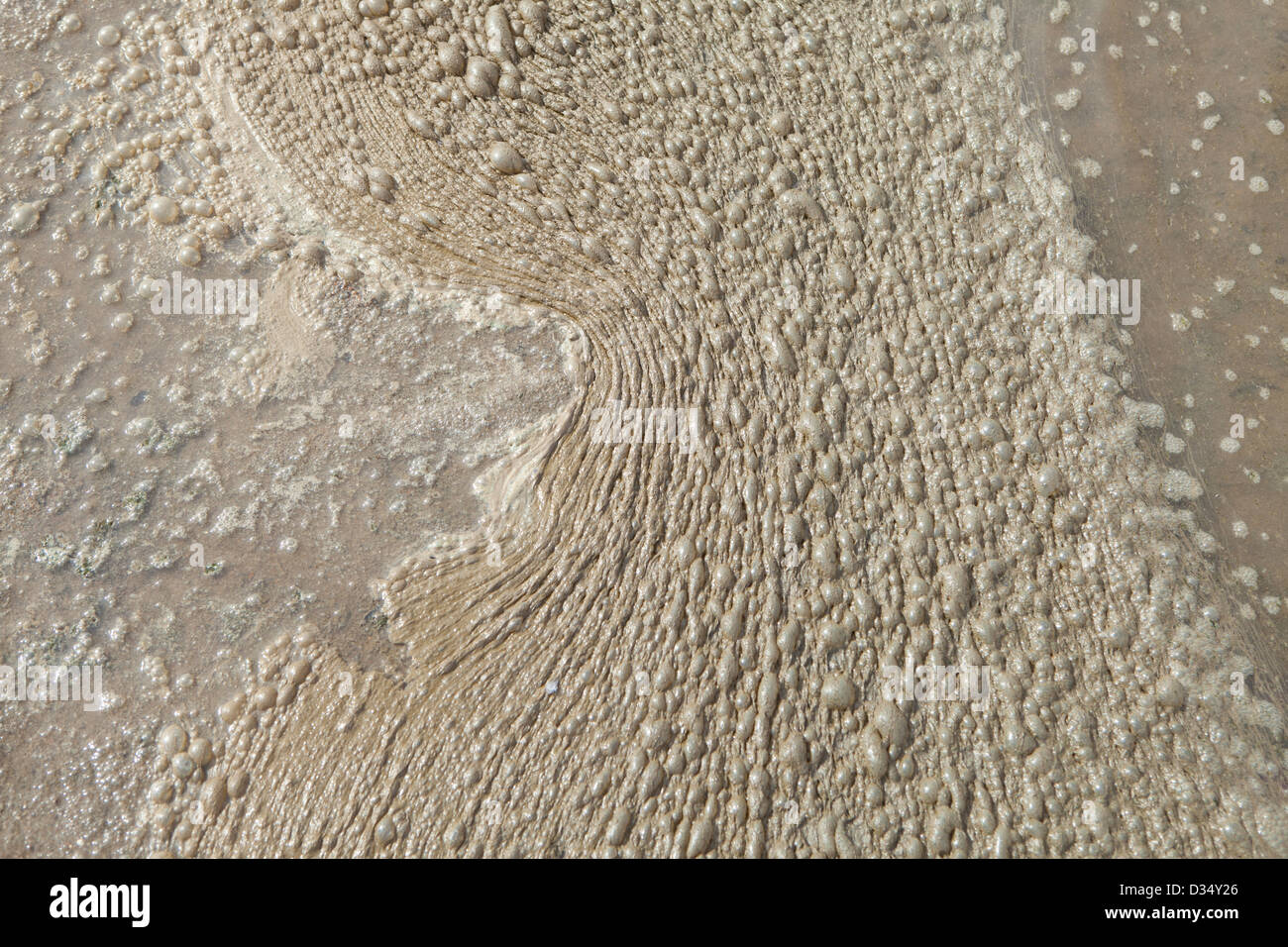 Scum on surface of polluted water, Queensland Stock Photo - Alamy