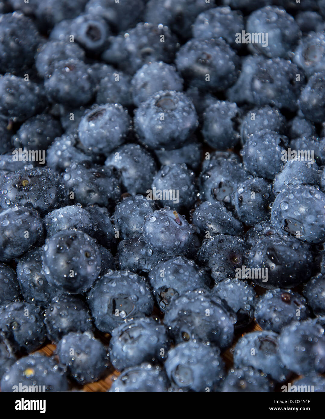 Blueberry Background (fullscreen macro shot Stock Photo - Alamy