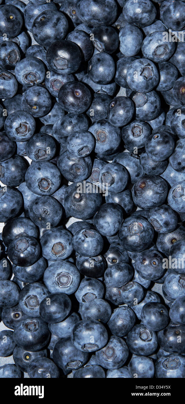 Blueberry Background (fullscreen macro shot Stock Photo - Alamy