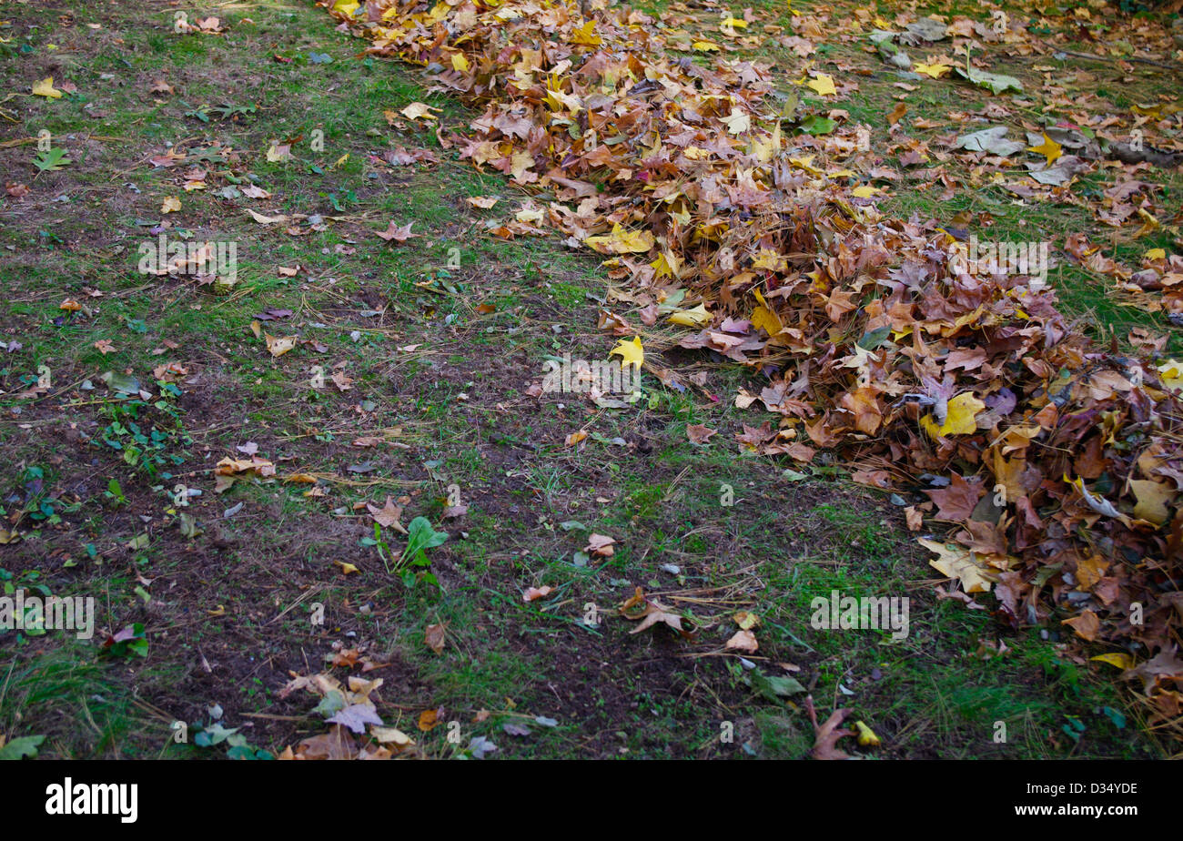 Raked into a line hi-res stock photography and images - Alamy
