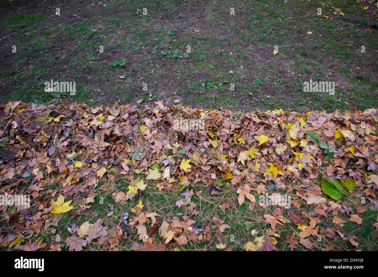 Leaves On The Bottom High Resolution Stock Photography and Images - Alamy