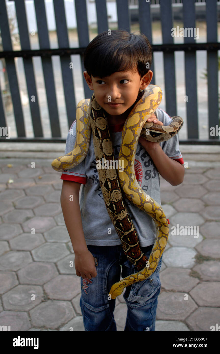 Energi Wira Pratama (8) plays two snakes in the yard in Wates village ...