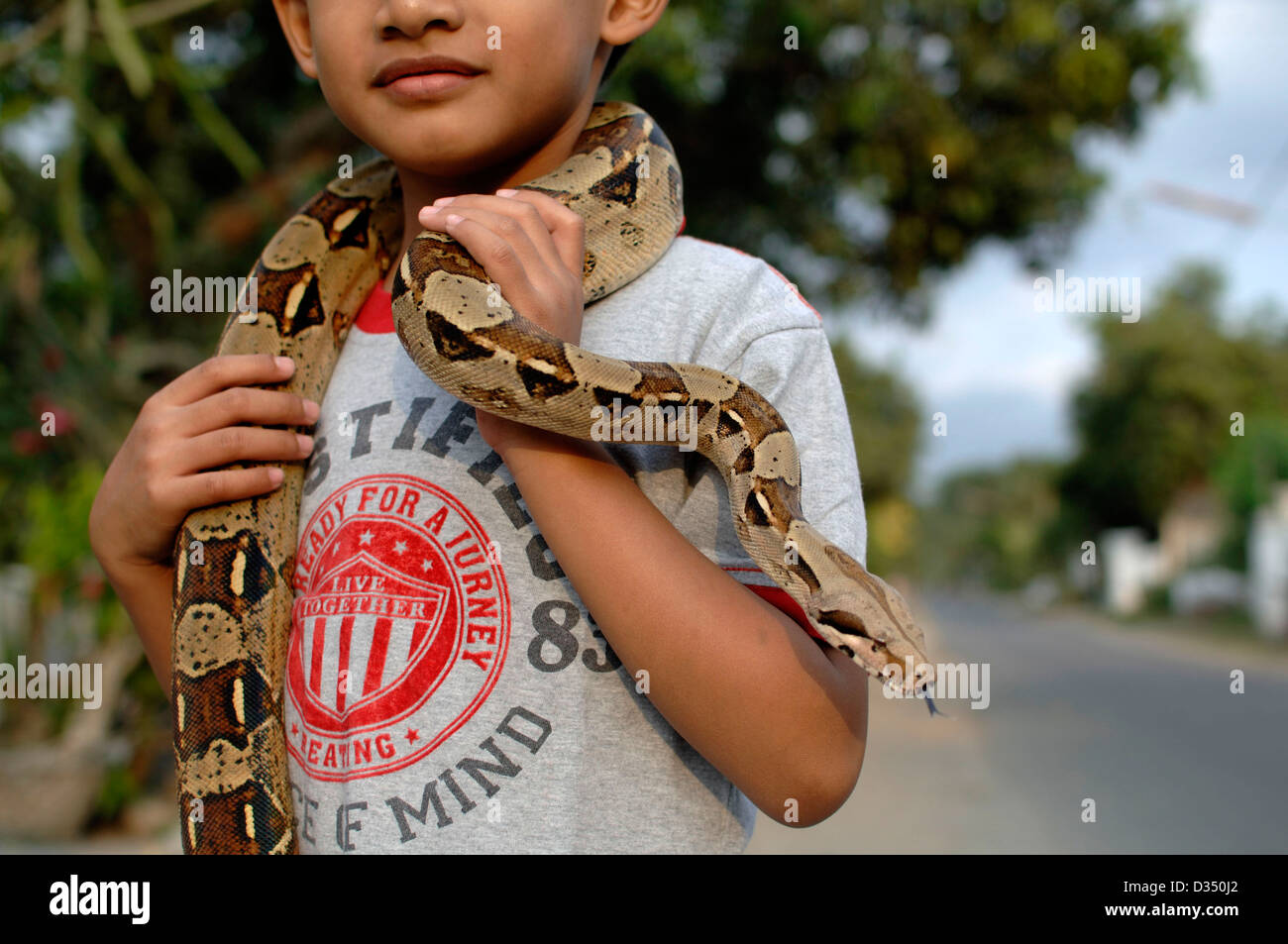 Energi Wira Pratama (8) plays two snakes in the yard in Wates village ...