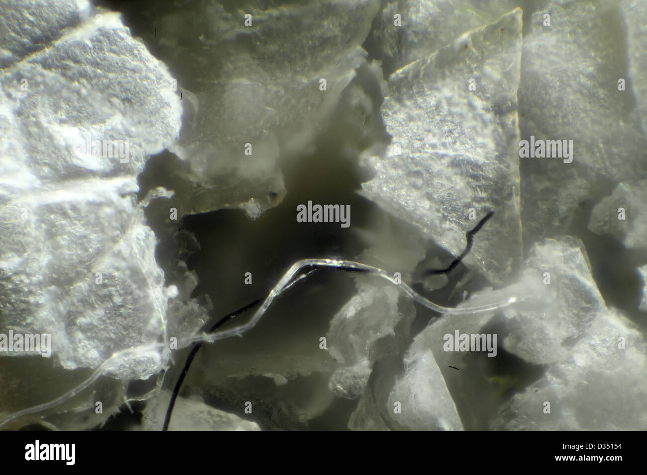 Skin under the microscope, background Stock Photo - Alamy