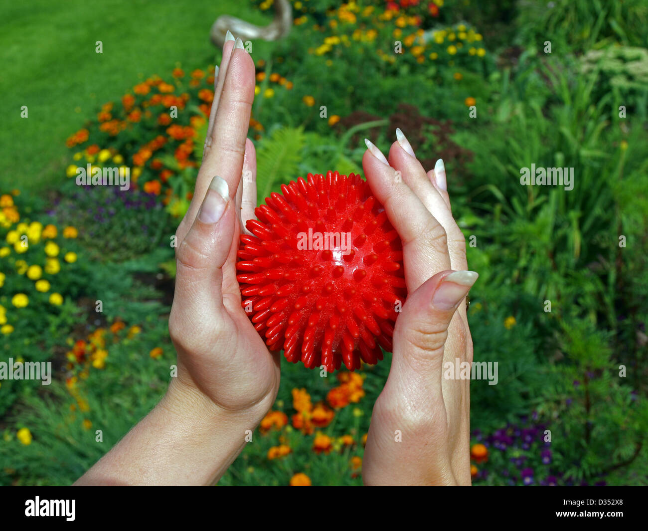 Training hands with red plastic spiny ball Stock Photo - Alamy