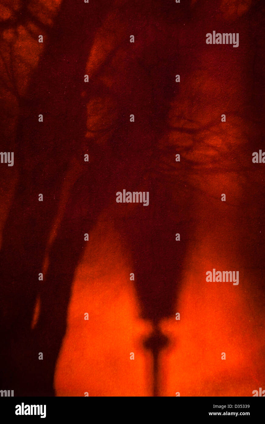 Lamp post silhouette hi-res stock photography and images - Alamy