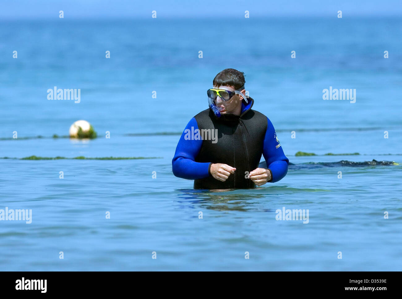 Iolo Williams High Resolution Stock Photography and Images - Alamy