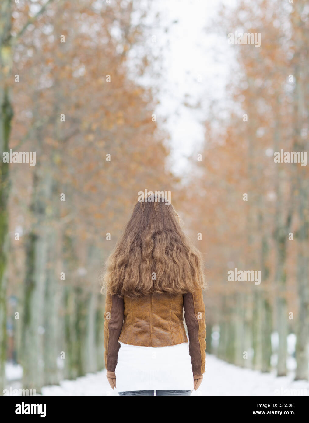 Young woman in winter park. rear view Stock Photo - Alamy