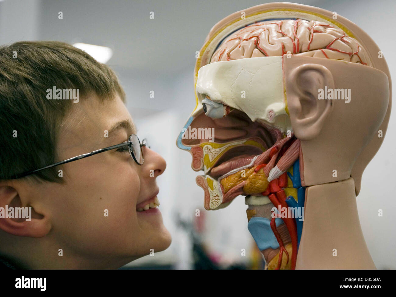 Plastic Anatomy High Resolution Stock Photography and Images - Alamy