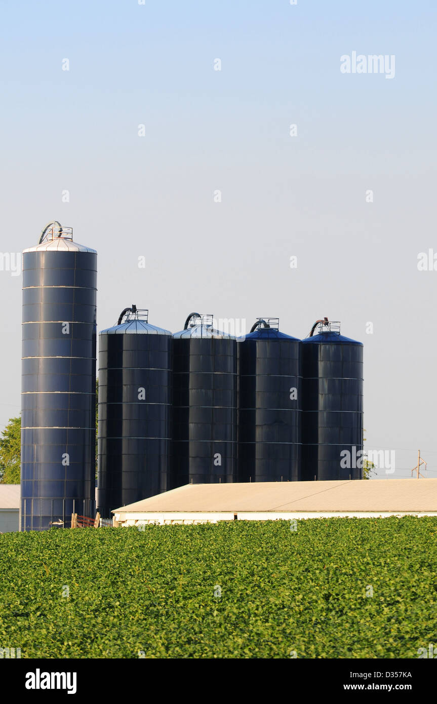 silos on soybean farm in minnesota Stock Photo - Alamy