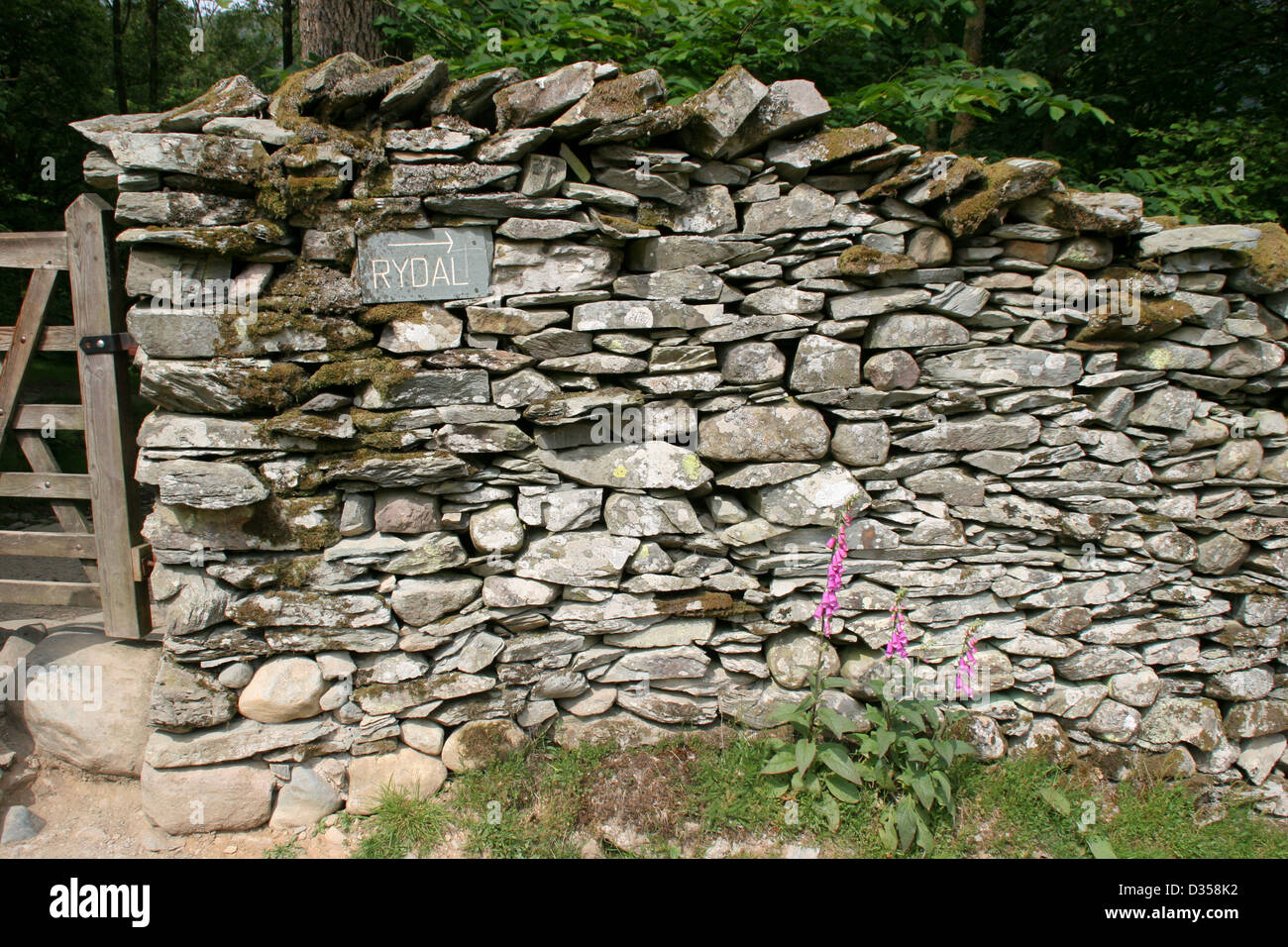 Dry Stone Wall with sign Rydal Cumbria England UK Stock Photo - Alamy