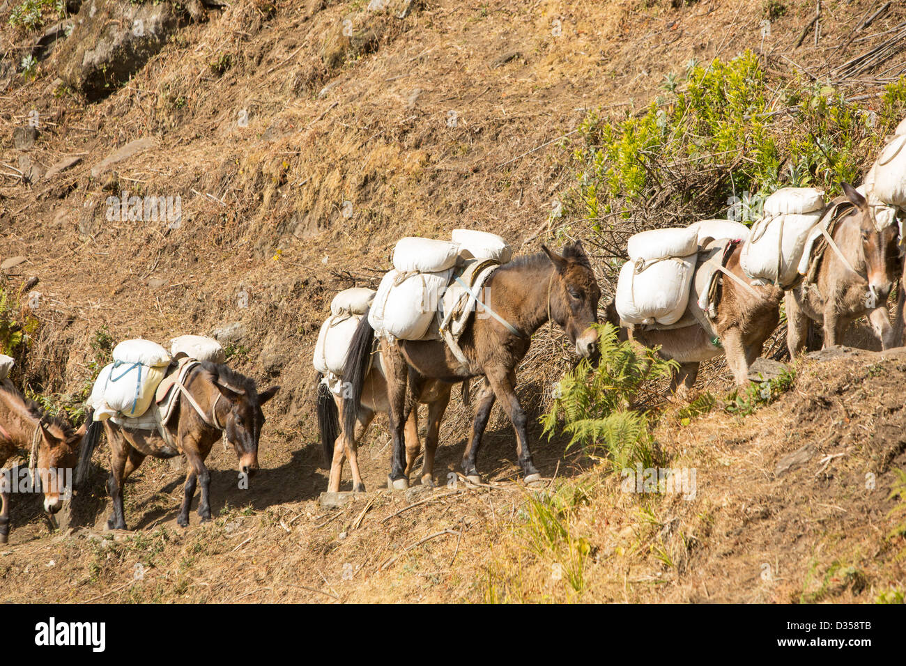 Transporting loads hi-res stock photography and images - Alamy