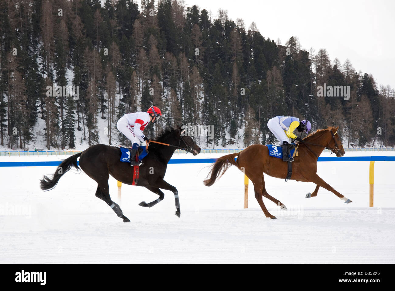 Switzerland, St. Moritz, White turf race Stock Photo - Alamy