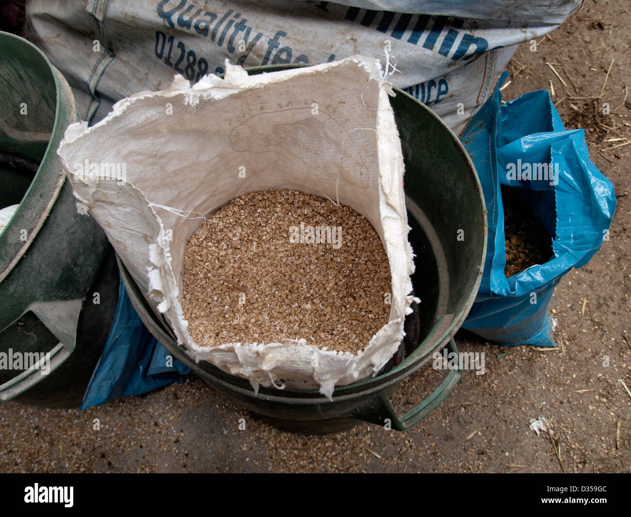 Supplementary feed for sheep, UK Stock Photo - Alamy