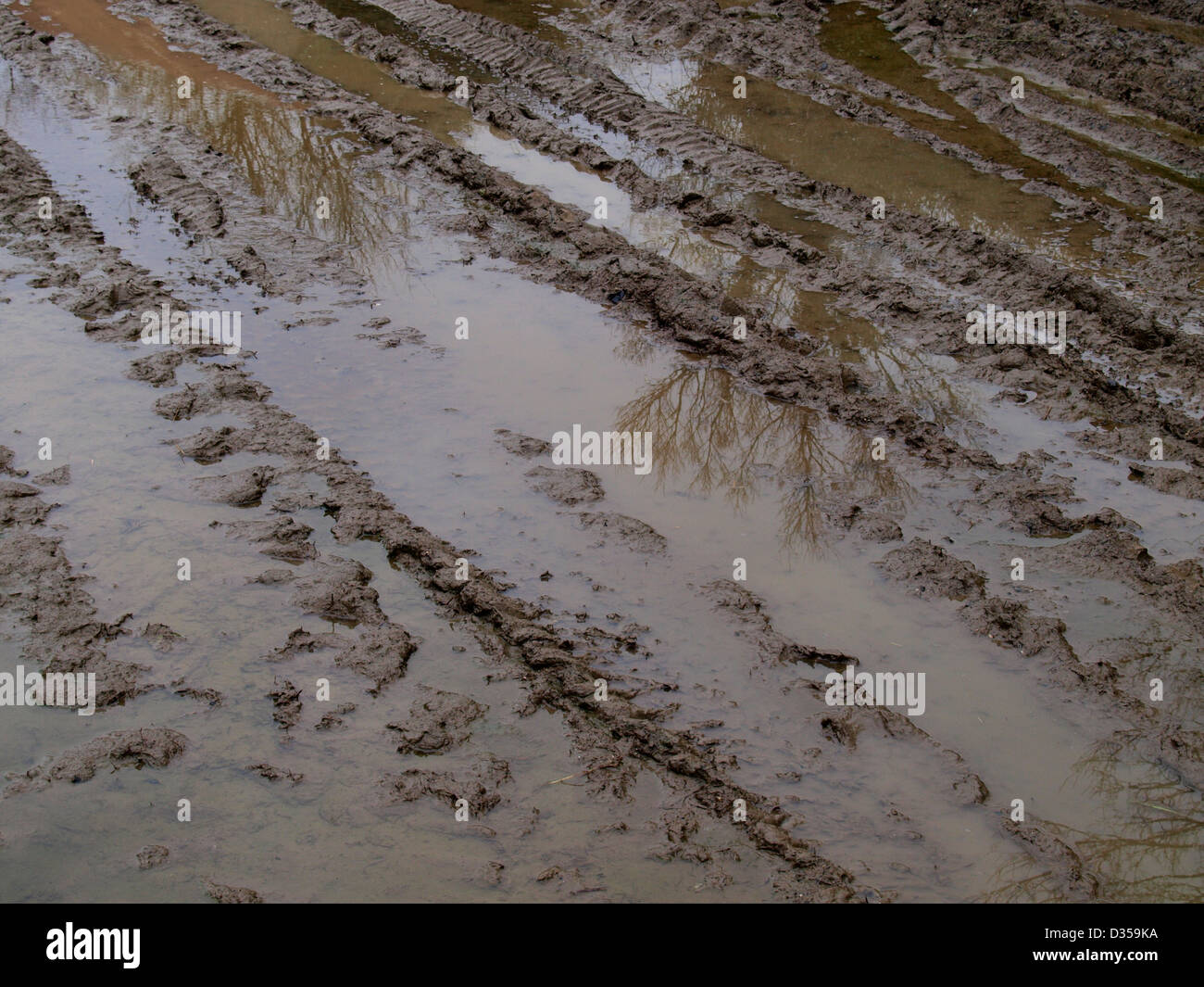 Wet farm track hi-res stock photography and images - Alamy