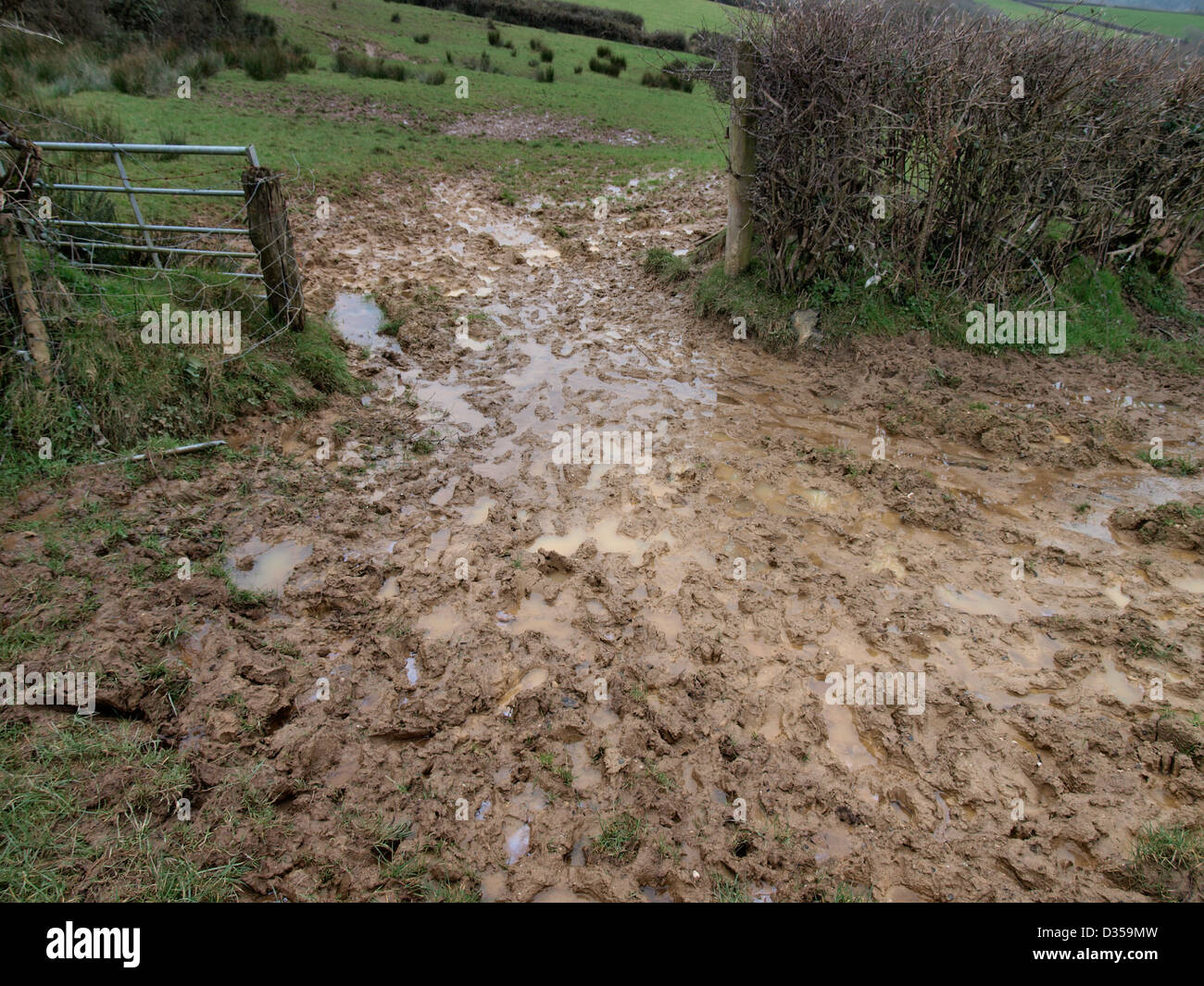 Wet muddy field hi-res stock photography and images - Alamy