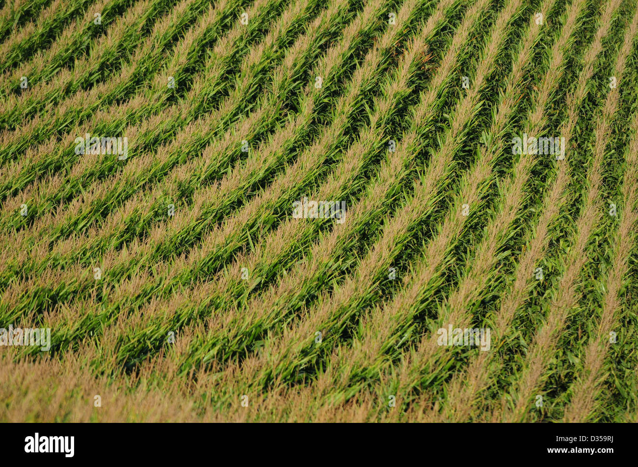 Midwest framing hi-res stock photography and images - Alamy