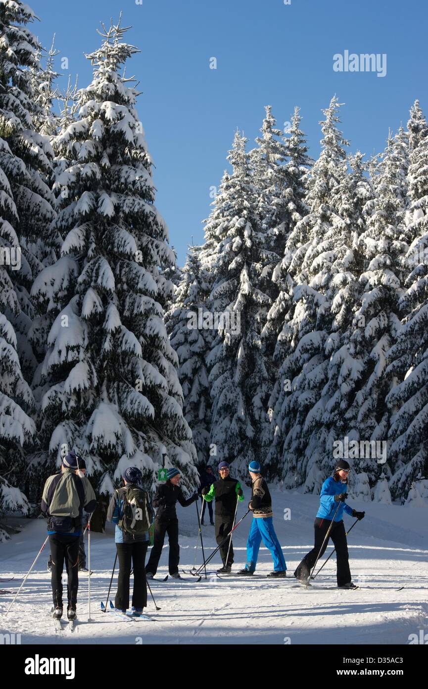 Cross-counry skiers enjoy the sunny winter weather at the Rennsteig ...
