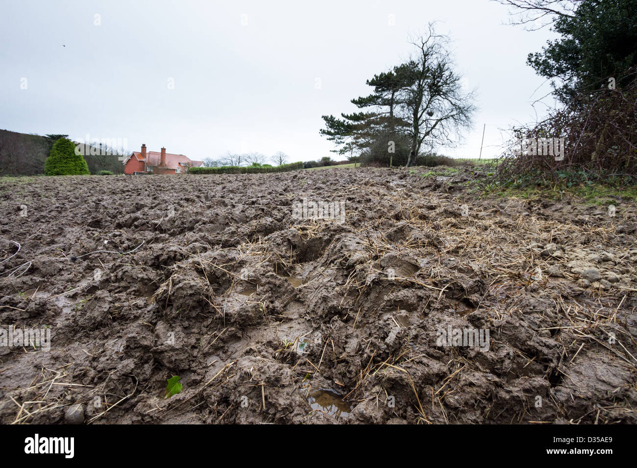 A waterlogged and trampled, muddy field, normally used for pasture ...
