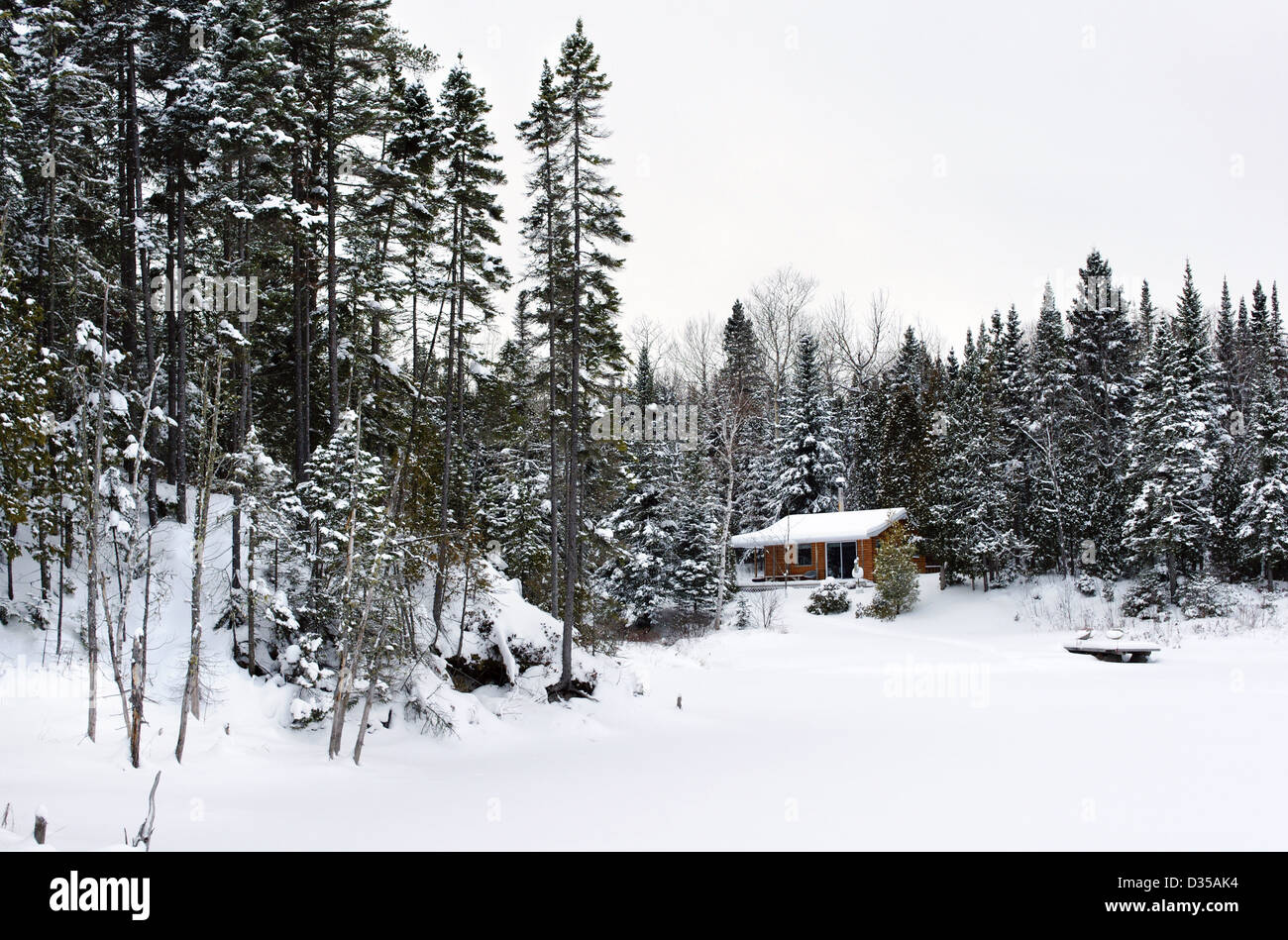 Great winter season landscape with a wood cabin and trees covered by ...