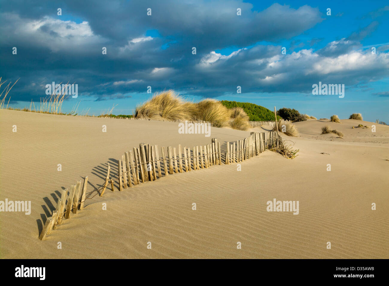 The Espiguette, Beach in Camargue,Languedoc Roussillon,France Stock ...