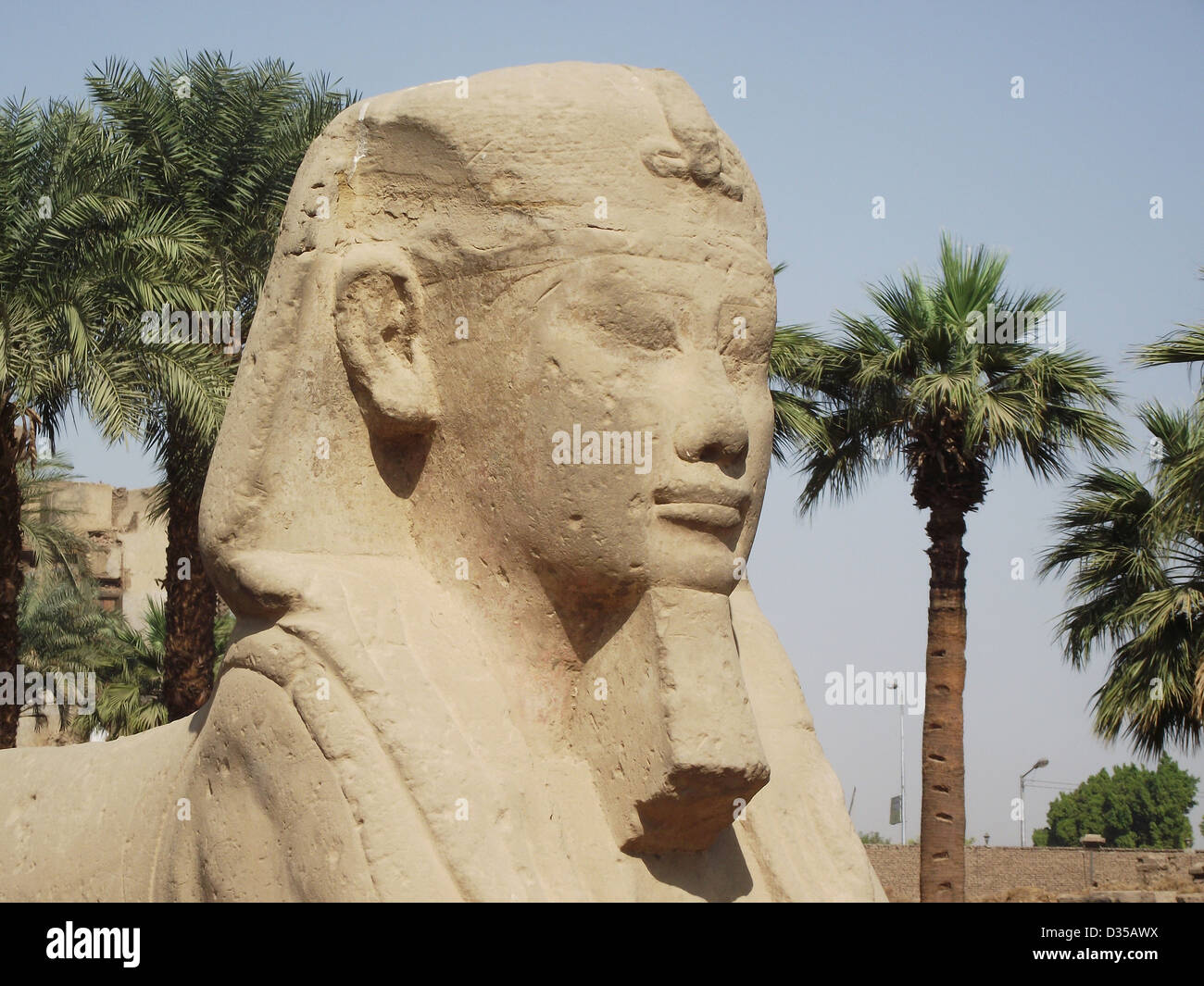 Sphinx egyptian hi-res stock photography and images - Alamy