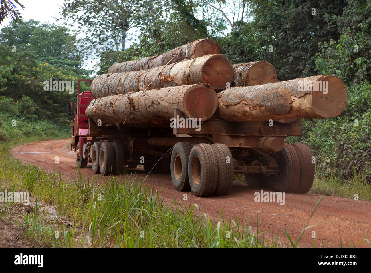 Logging truck rainforest hi-res stock photography and images - Alamy